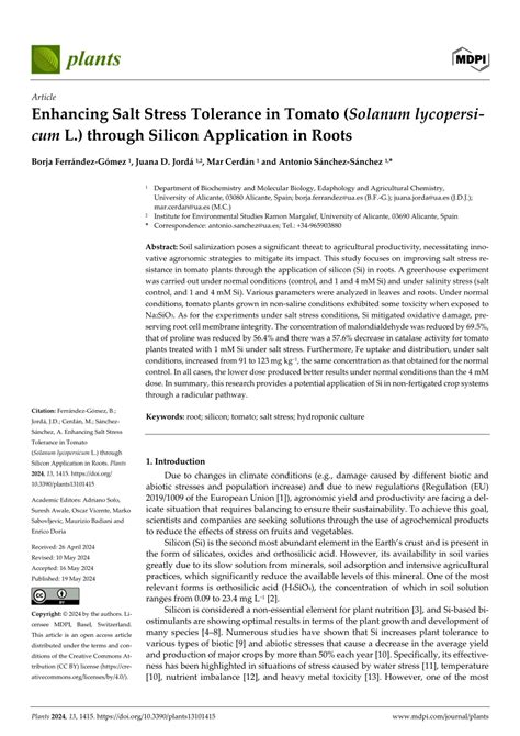 Pdf Enhancing Salt Stress Tolerance In Tomato Solanum Lycopersicum L Through Silicon