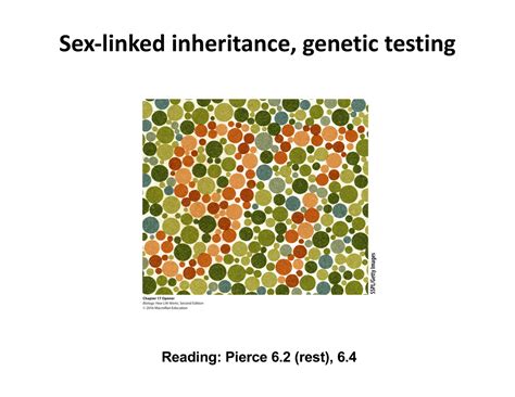 Sex Linked Inheritance Genetic Testing Sex Linked Inheritance Genetic Testing Reading