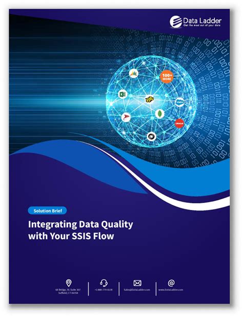 Data Ladder Guides Integrating Data Quality With Your Ssis Data Flow Data Ladder