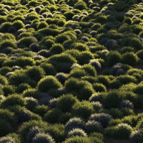 Round Grass 3d Model For Corona