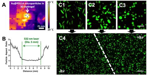 Entanglement Based Thermoplastic Shape Memory Polymeric Particles With