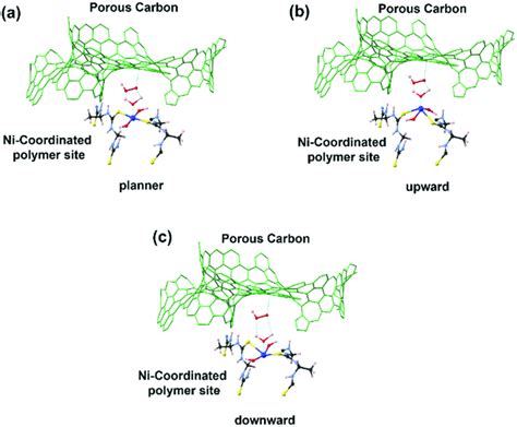 A Interaction Between The Superoxide Ion And Water Involved In The Download Scientific