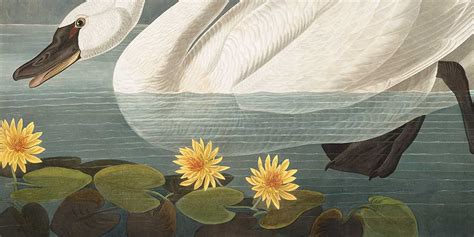 Drupal 8 Content Entity With Bundles Part 1 Overview Daggerhart Lab