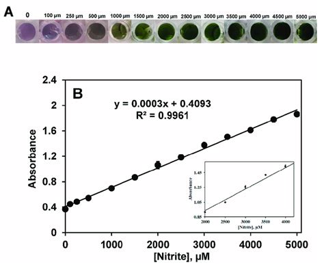 A Photographic Colorimetric Response Of The Aunp Ceo 2 Np Go Nanozyme