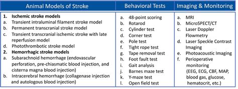 Duke University Span