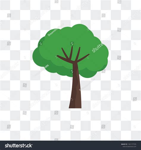 24 916 Transparent Tree Icon Images Stock Photos Vectors Shutterstock