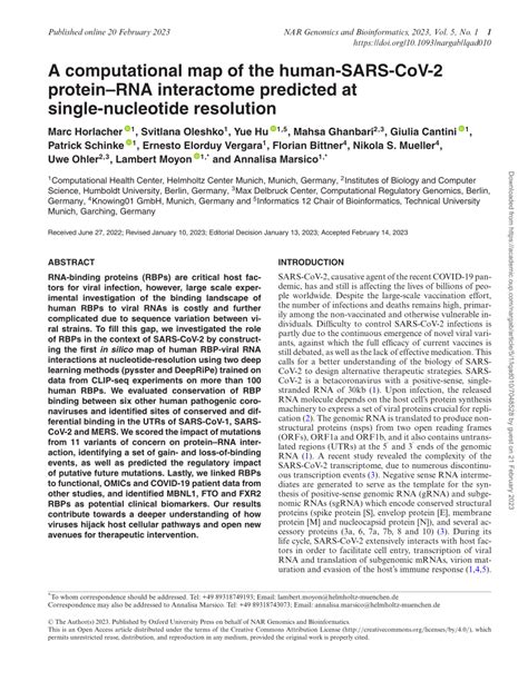 PDF A Computational Map Of The Human SARS CoV ProteinRNA Interactome Predicted At Single