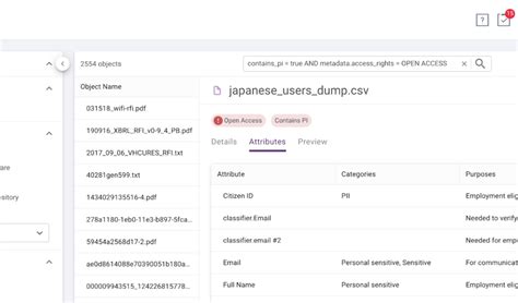Privacy And Security Metadata Enrichment BigID