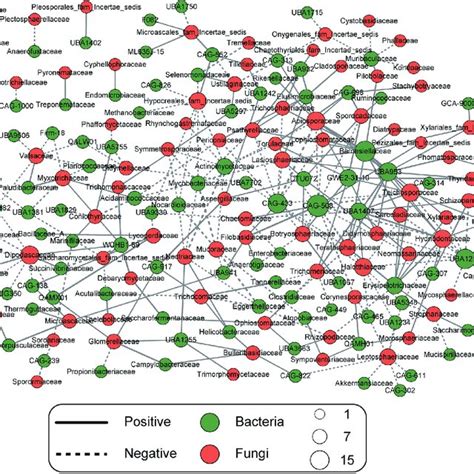 Network Based On Spearman Correlation Coefficients P 0 05 Showing