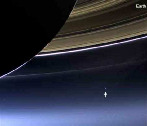 Celina Wang Posted On Linkedin