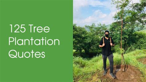Tree Plantation Quotes Ultimate List