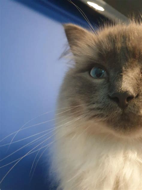 Nobody Older Teachers On A Zoom Call Scrolller