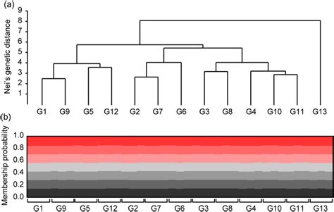 Results Of Neis Genetic Distance And Bayesian Clustering Analysis In