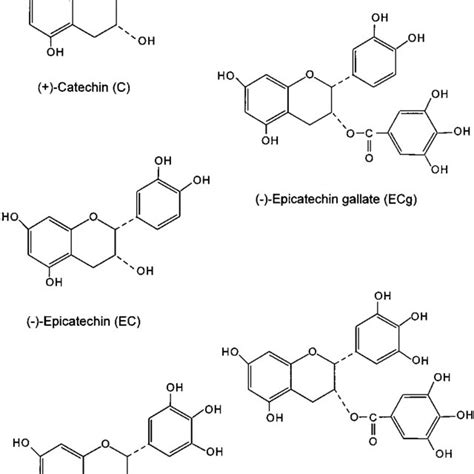 Chemical Structures Of The Major Tea Catechins Download Scientific Diagram