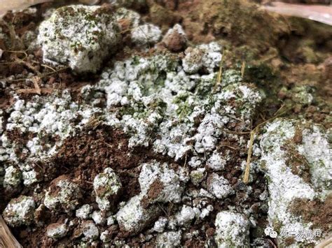 醒醒吧，你看到的五色土是人为的！土壤