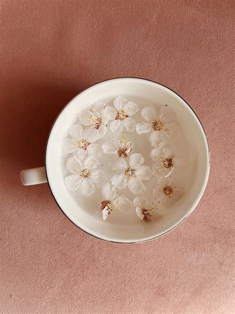 20 000 سكسخوات🇷🇺 Banque Dimages Et Photos Libres De Droit · Téléchargement Gratuit · Photos