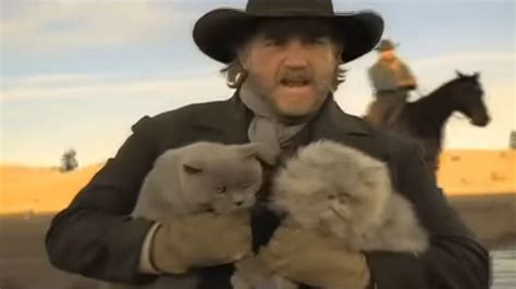 77 Funny Herding Cats Meme