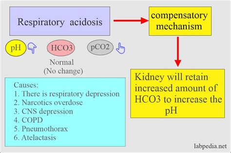 Acidosis Lab