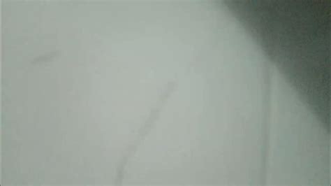 Bruh Why There So Many Dead Ant😨 Youtube