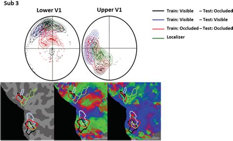 Significant Decoding Accuracy Maps Projected Onto Retinotopic Maps And