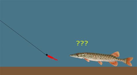 Как успешно доловить щуку эффективные методы и тактики