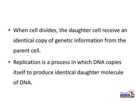 Dna Replication By Dr Anurag Yadav Pdf