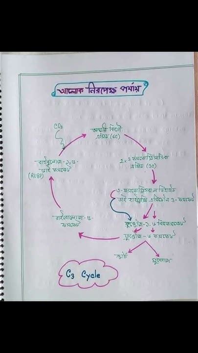জীবনীশক্তি অধ্যায় ৪ । জীববিজ্ঞান । হ্যান্ড নোট। এসএসসি।s S C Biology Chapter 4 Handnote