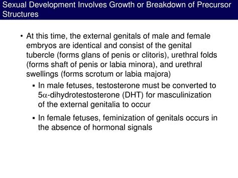 PPT Sexual Development PowerPoint Presentation Free Download ID