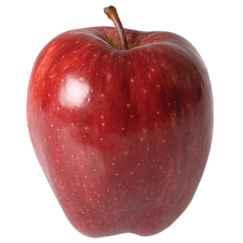 Gastronomía A Libreta Abierta I Tipos De Manzanas I Y Ii Parte
