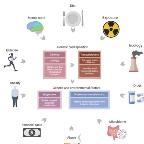 Multi Omics Approach To Identify Biomarkers For Retinal Vascular