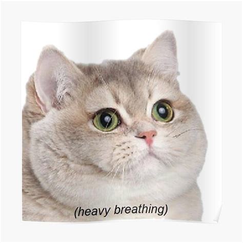 Heavy Breathing Cat Meme Poster By Luckeye Redbubble