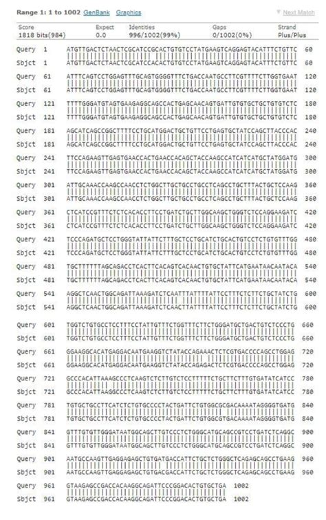 Tutorial 3 Mutations And Bioinformatics F2022pdf Tutorial 3 Post