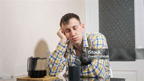 졸린 남자는 부엌에서 테이블에 회색 고양이와 함께 앉아 25 29세에 대한 스톡 사진 및 기타 이미지 25 29세 가정 생활 가정 주방 Istock