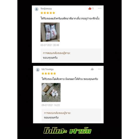 ไข่เชื้อไก่ชนสายเลือดเชอร์รี่ม้าล่อiq108vip Khonohafarm88 Thaipick