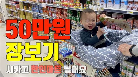 미국 브이로그 🇺🇸 50만원으로 한인마트에서 살 수 있는 것들 🤑 시카고 한인마트 장보기 미국일상 역대급 미국물가 시카고여행 Youtube