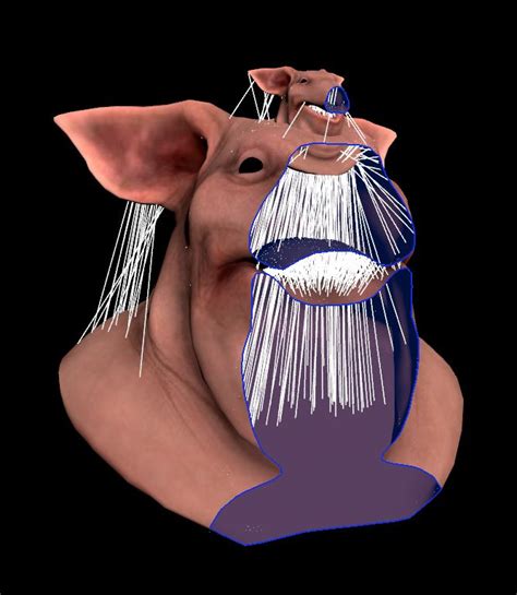 Houdini Sidefx Vex Raycasting Proceduralmodelling Irene Houward