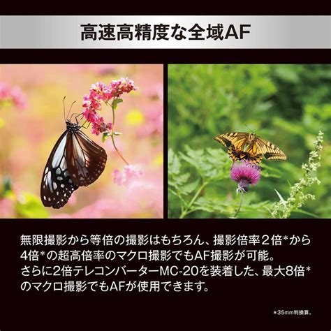 More Om System M Zuiko Digital Ed 90mm F 3 5 Macro Is Pro Lens Leaks Seriously Photography