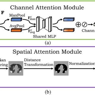 A The Channel Attention Module Max Pooling Average Pooling Outputs