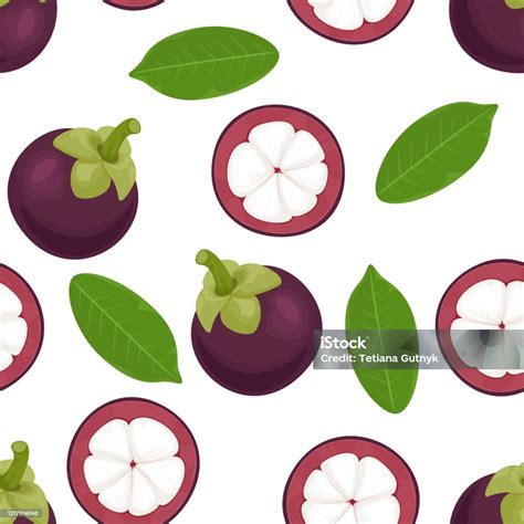 망고스틴 전체 및 흰색 배경에 절반 원활한 패턴 만화 플랫 스타일의 열대 과일과 녹색 잎의 벡터 그림 0명에 대한 스톡 벡터 아트 및 기타 이미지 Istock
