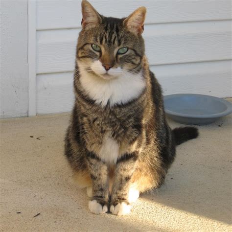 Mark Schroeder Youtube