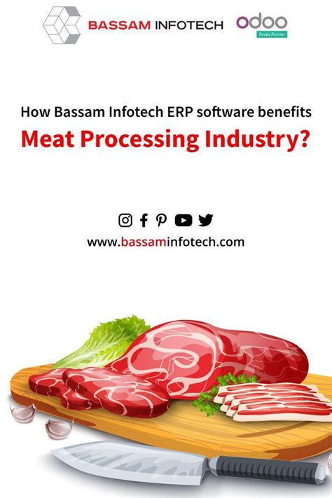Unique Ways Bassam Infotech Odoo ERP Benefits Meat Industry Odoo ERP Implementation In