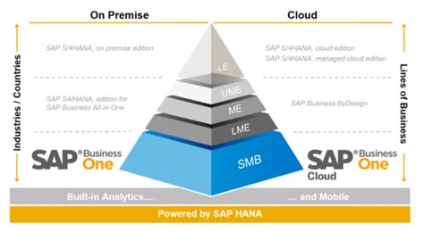 Sap Business One Integration Hiddenpooter