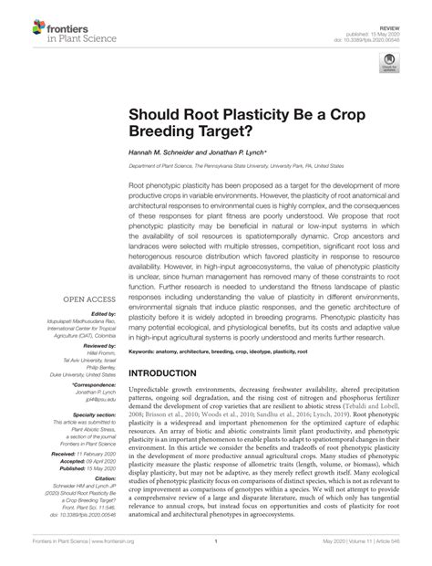 Pdf Should Root Plasticity Be A Crop Breeding Target