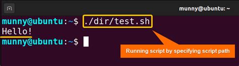 How To Run A Bash Script 2 Methods With Cases