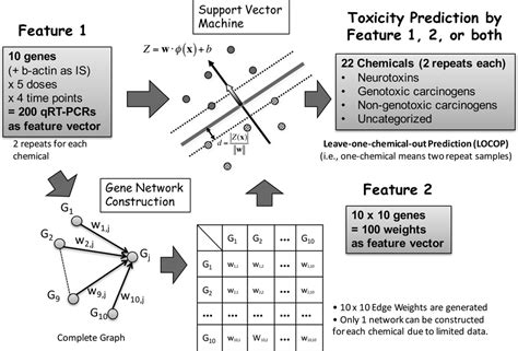 Schematic View Of Processes From Data Generation To Svm Prediction For