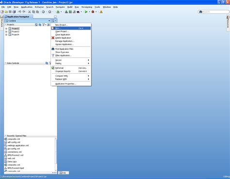Learning Soa Deploying Multiple Soa Composite In Soa Suite 11g