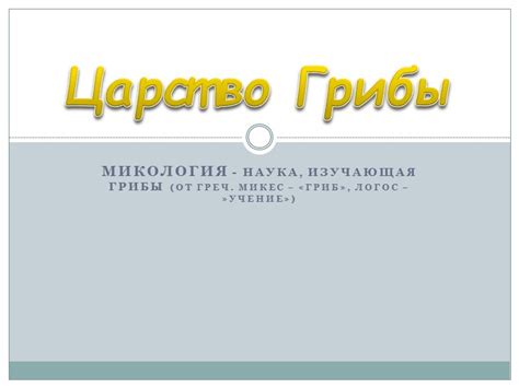 Презентация по биологии на тему Царство Грибы 5 класс Читать или скачать учебники для