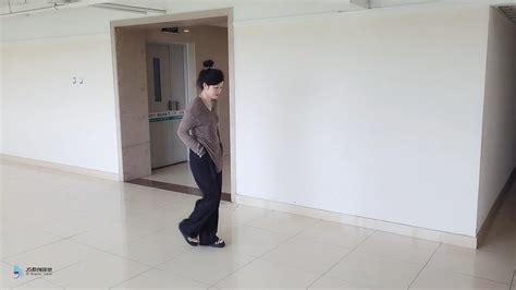 New Model Assessment Clip Escape Chinese Model WanRou Chinese JS Original Vision Clips Sale