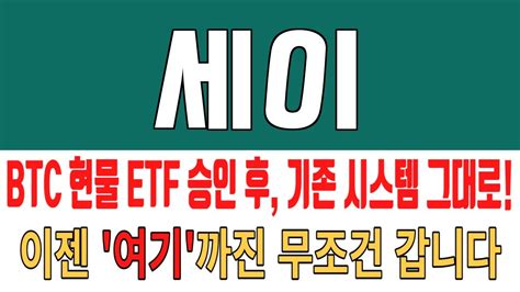 코인 세이 세이 코인분석 목표가와 높은 수익률의 비결 알아보자 Youtube