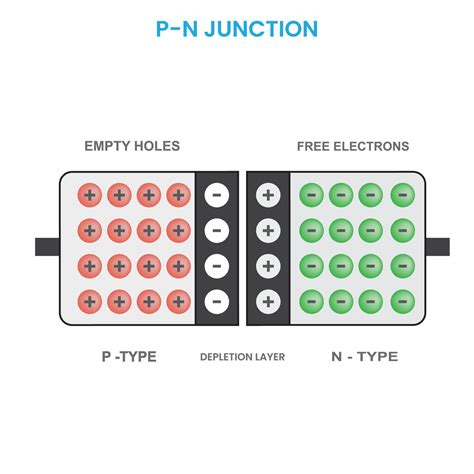 Pn Junction Diode Diagram In Physics Vector Illustration 18891996